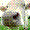 ALAMAK ICON LIST